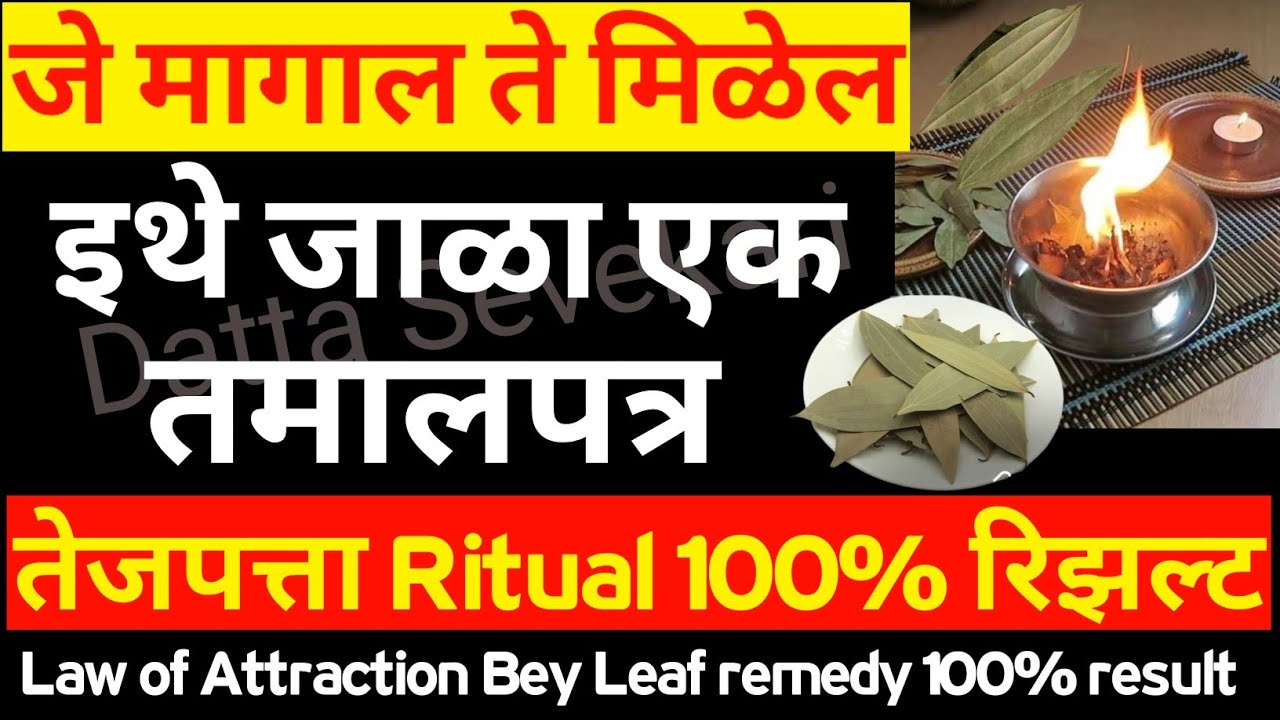 100 bay Leaf Tejpatta Remedies Ritual In 100-bay-leaf-tejpatta-remedies-ritual-in
