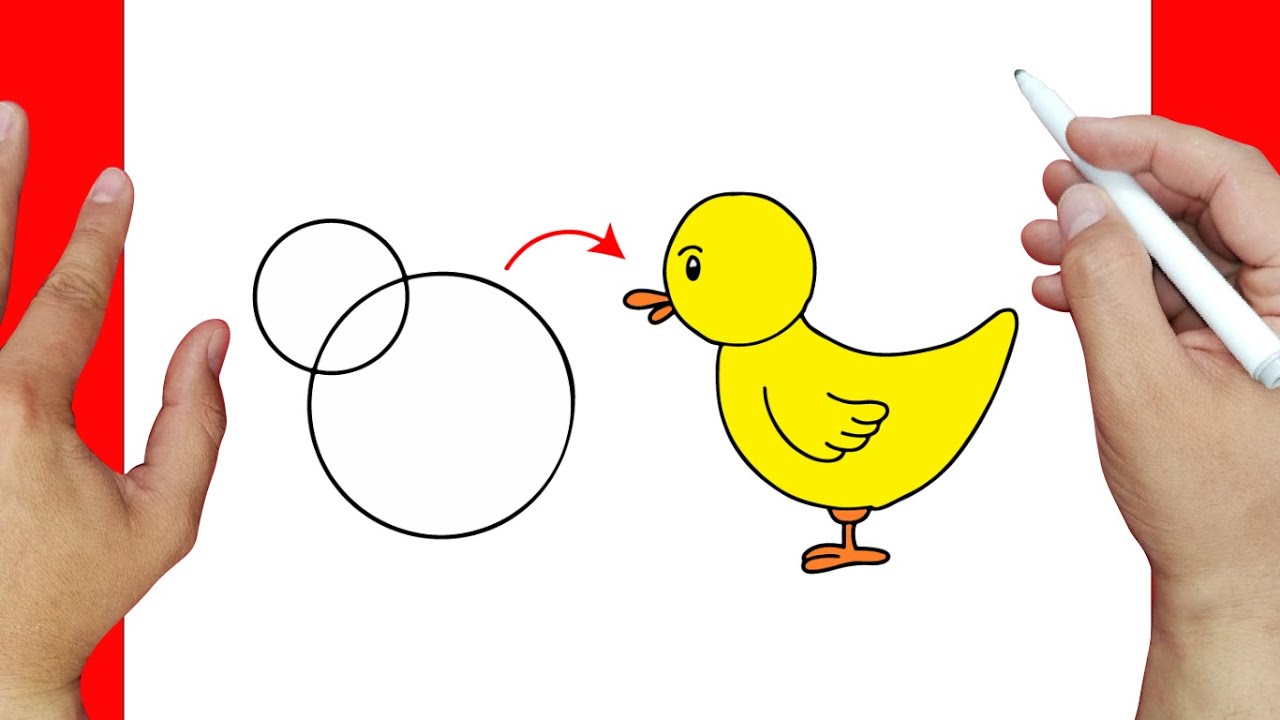 Como dibujar un patito | Cómo dibujar Animales para niños - YouTube