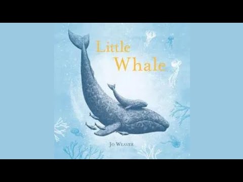 Little Whale By Jo Weaver Kids Read-Aloud - YouTube