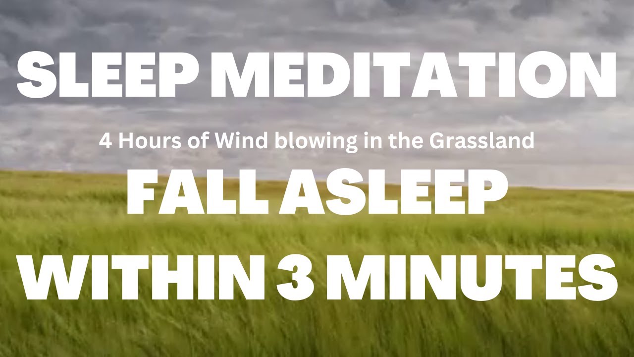 Sleep Meditation - Soothing Wind Blowing Through the Grassland - FALL ...