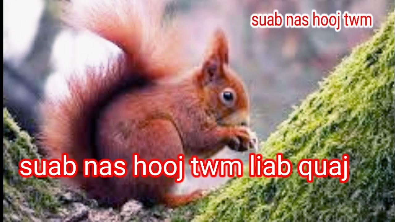 Suab nas hooj twm quaj zoo dib tuaj 100% - YouTube