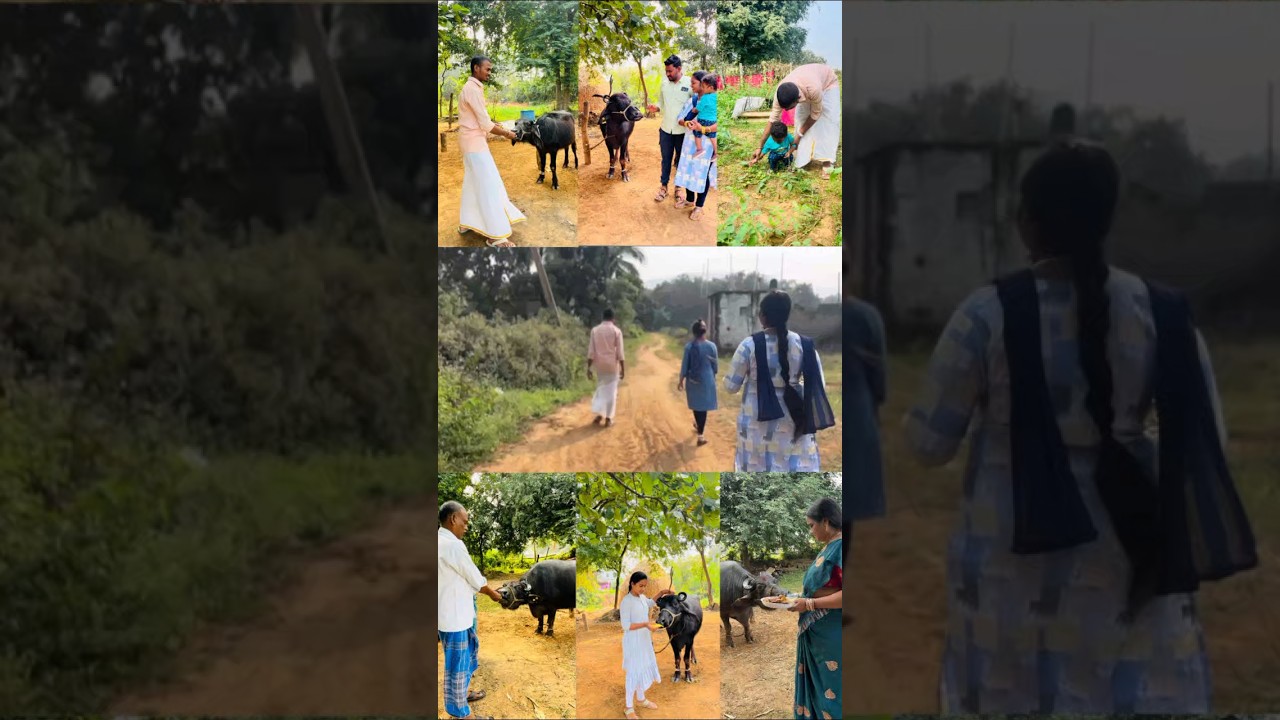 Happy sankranti - YouTube