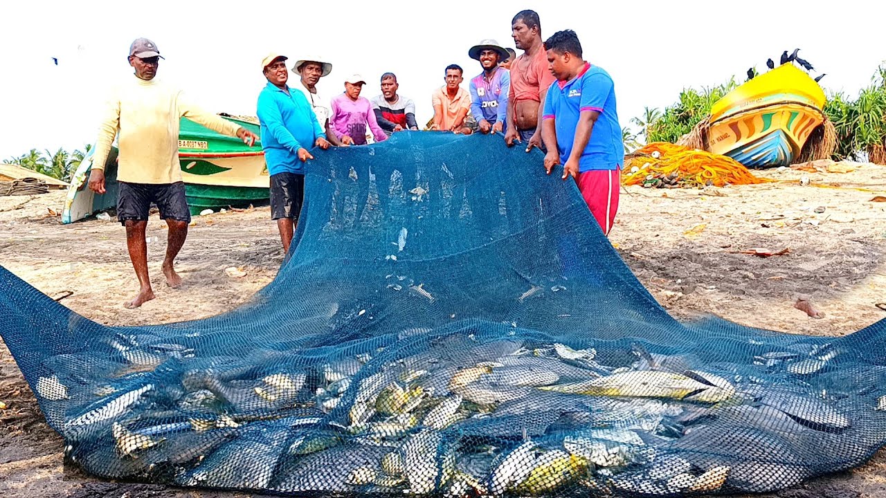 😱🎣😮 Unbelievable !! Amazing big pomfret fish catching full video - you ...