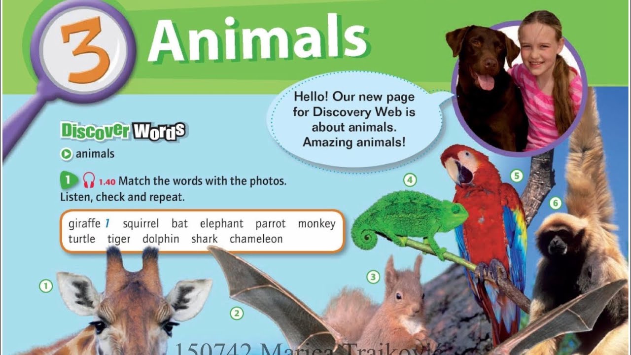 4. razred Discover English 1, Unit 3 Animals - samo audio ( Can, parts ...
