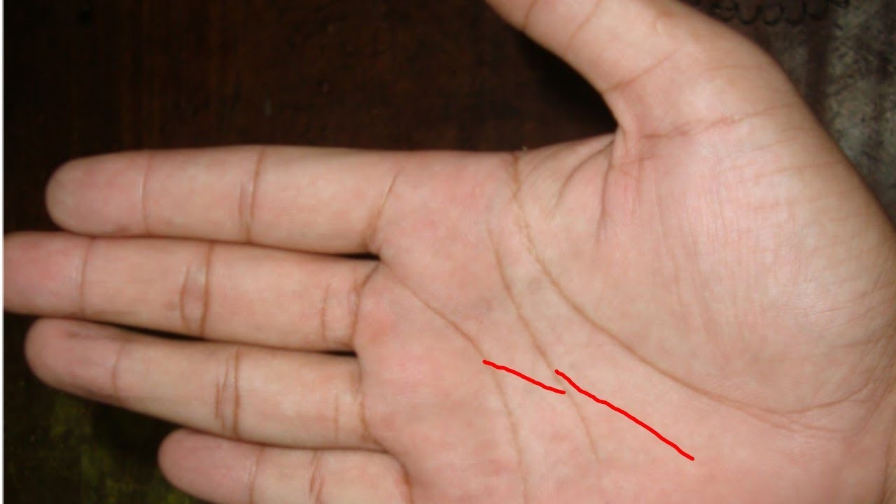 Real hand analysis - success line in hand||great success in Palm ||इस ...