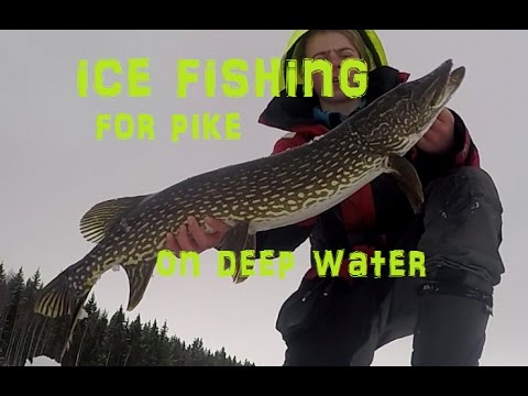 Deep water pike from ice / syvän veden haukia ismetellä - YouTube
