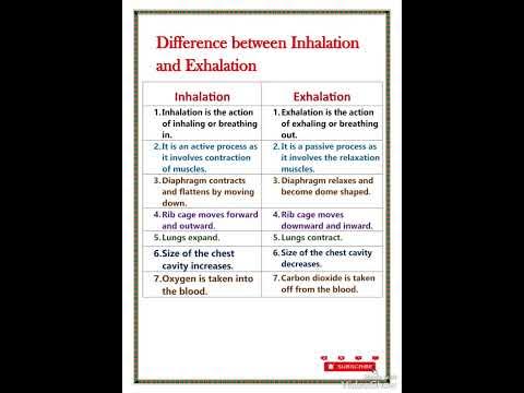 Difference between inhalation and exhalation - YouTube