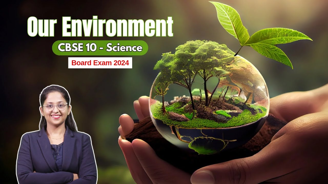 Our Environment: Understanding Ecosystems | Class 10 NCERT | PYQs ...