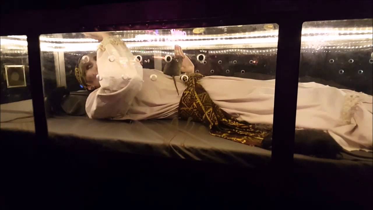 Rat Lady - HHN 25 - YouTube