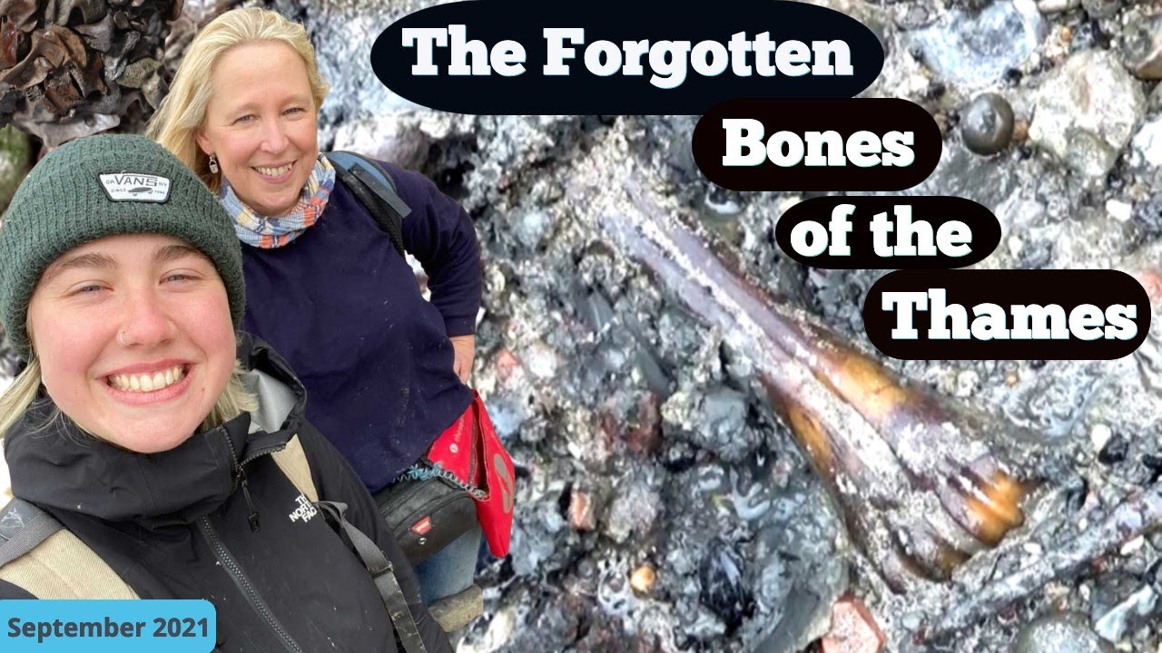 Mudlarking the Thames - The Forgotten Bones of the River Thames & The ...