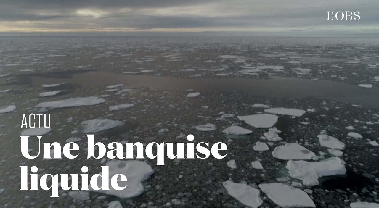 La banquise d'été de l'Arctique filmée à son deuxième plus bas niveau ...