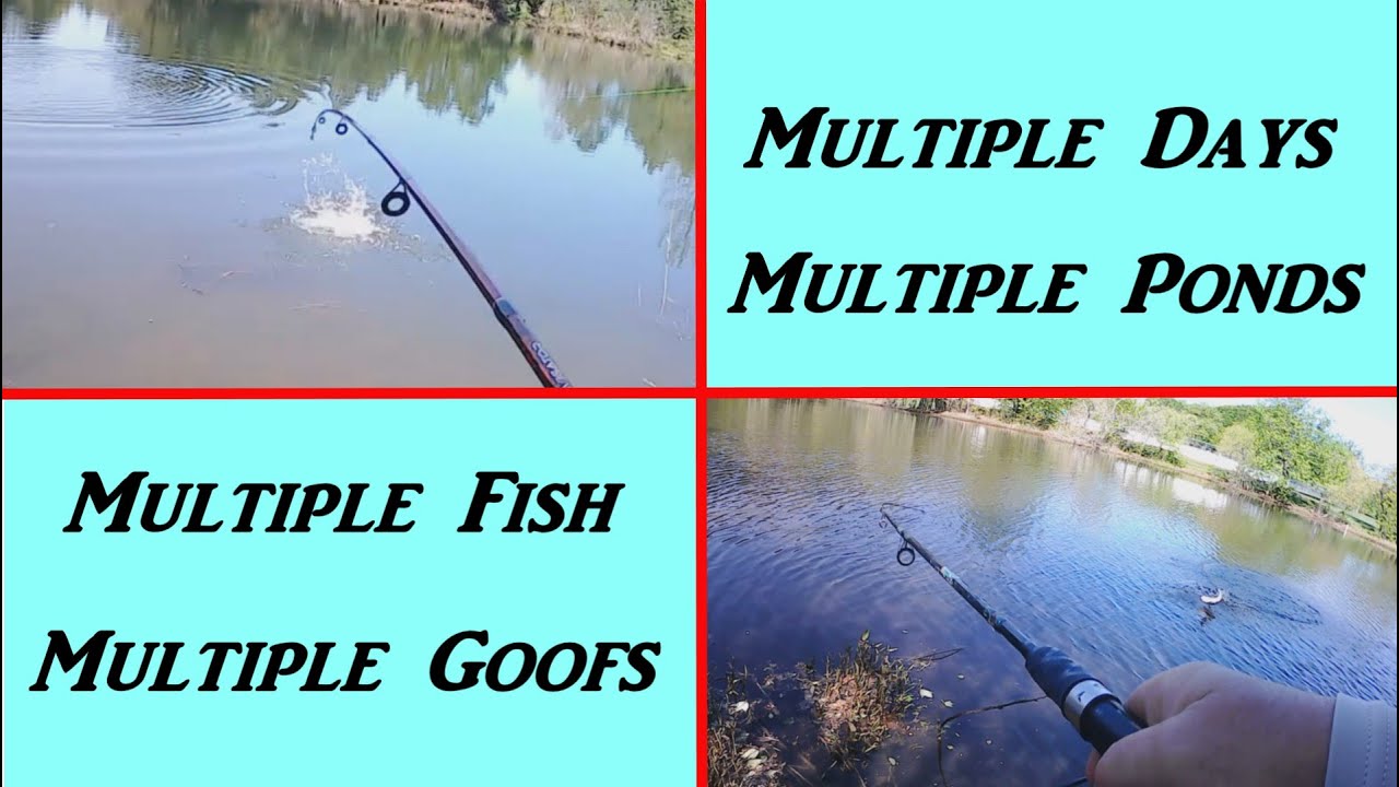 POND FISHING REMNANTS - YouTube