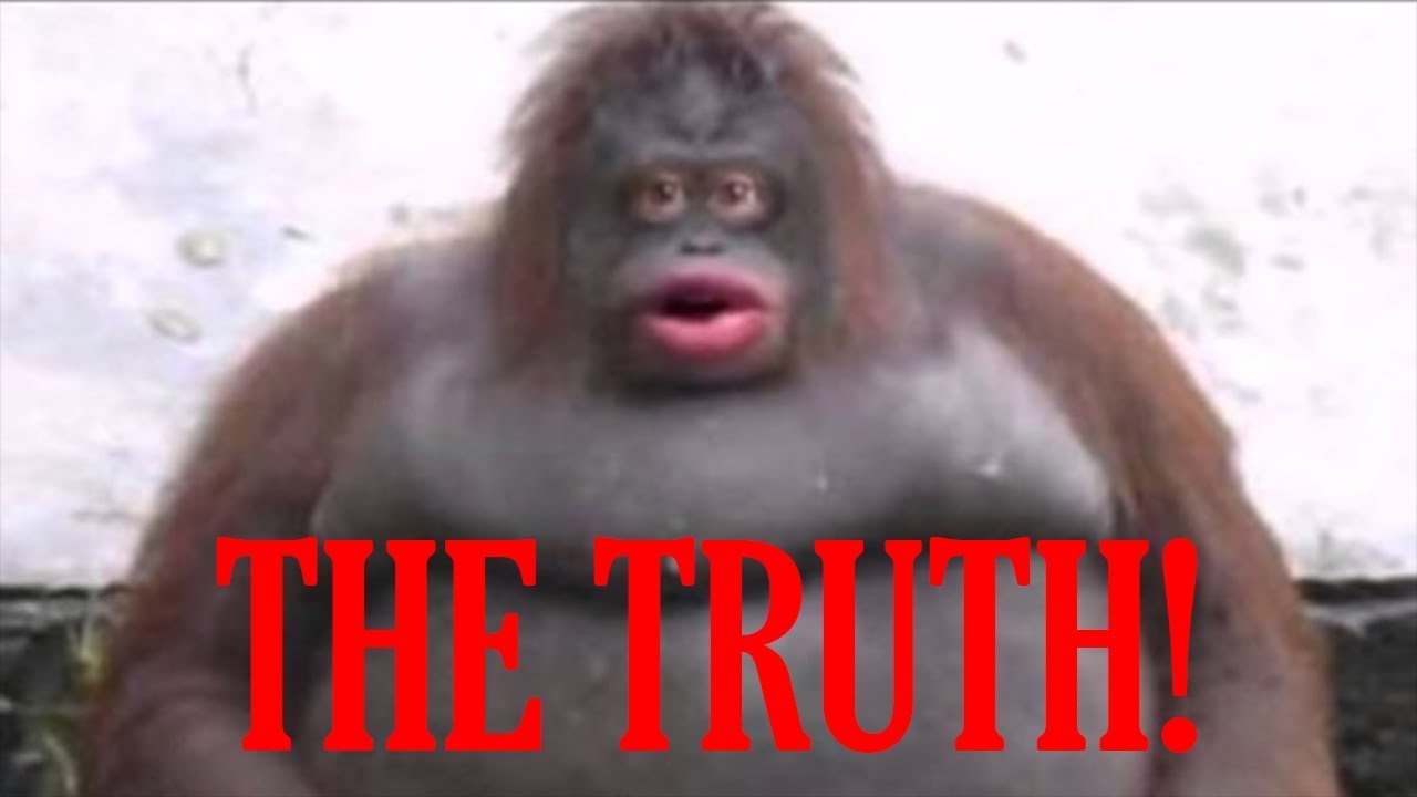 The Origin of Uh Oh Stinky! - YouTube