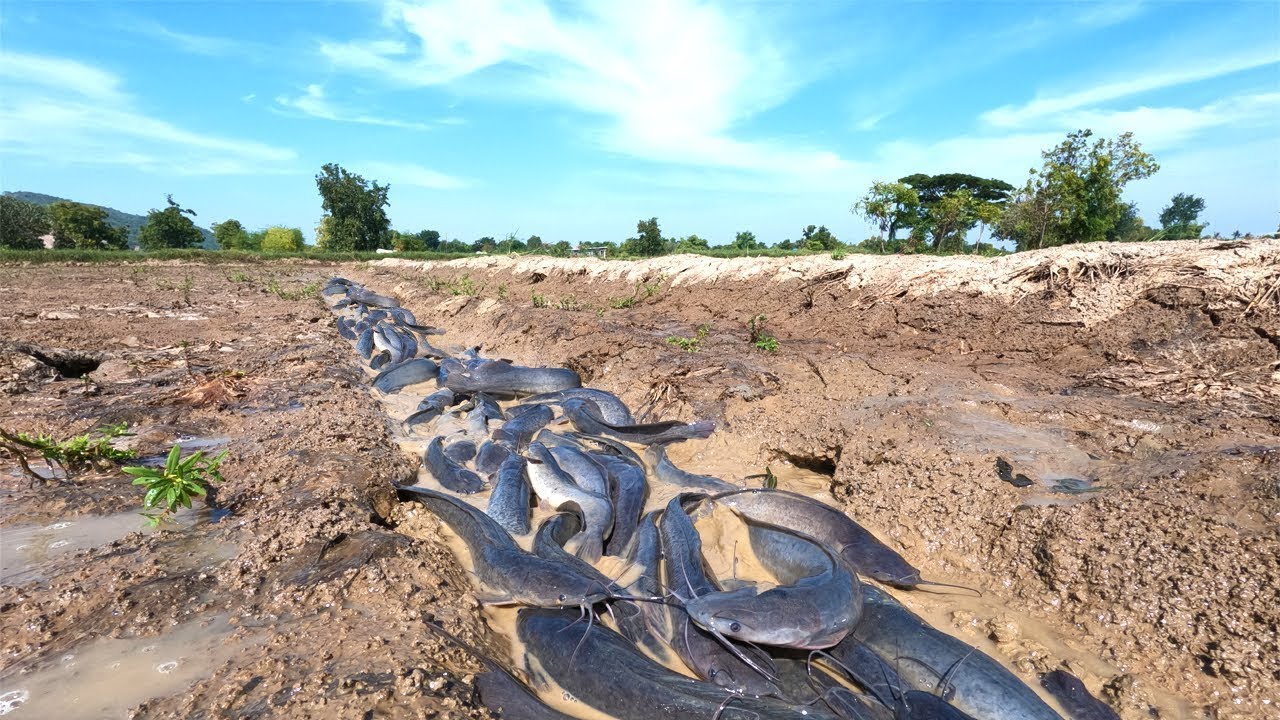 Redfish Revelations: A Fisherman's Amazing Hand Fishing Skills for ...