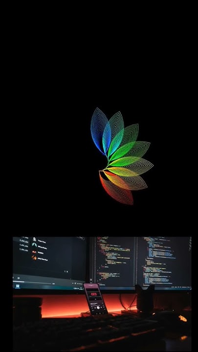 Animation python - YouTube