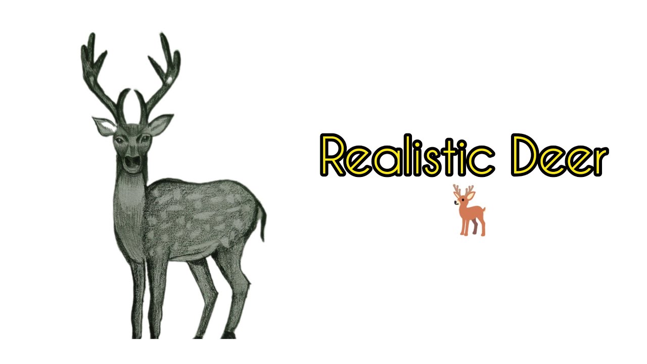 Deer Drawing for Beginners | Shading Pencil Art #drawing #art # ...
