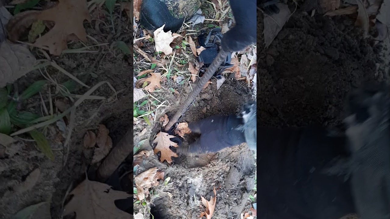 Setting trap - YouTube