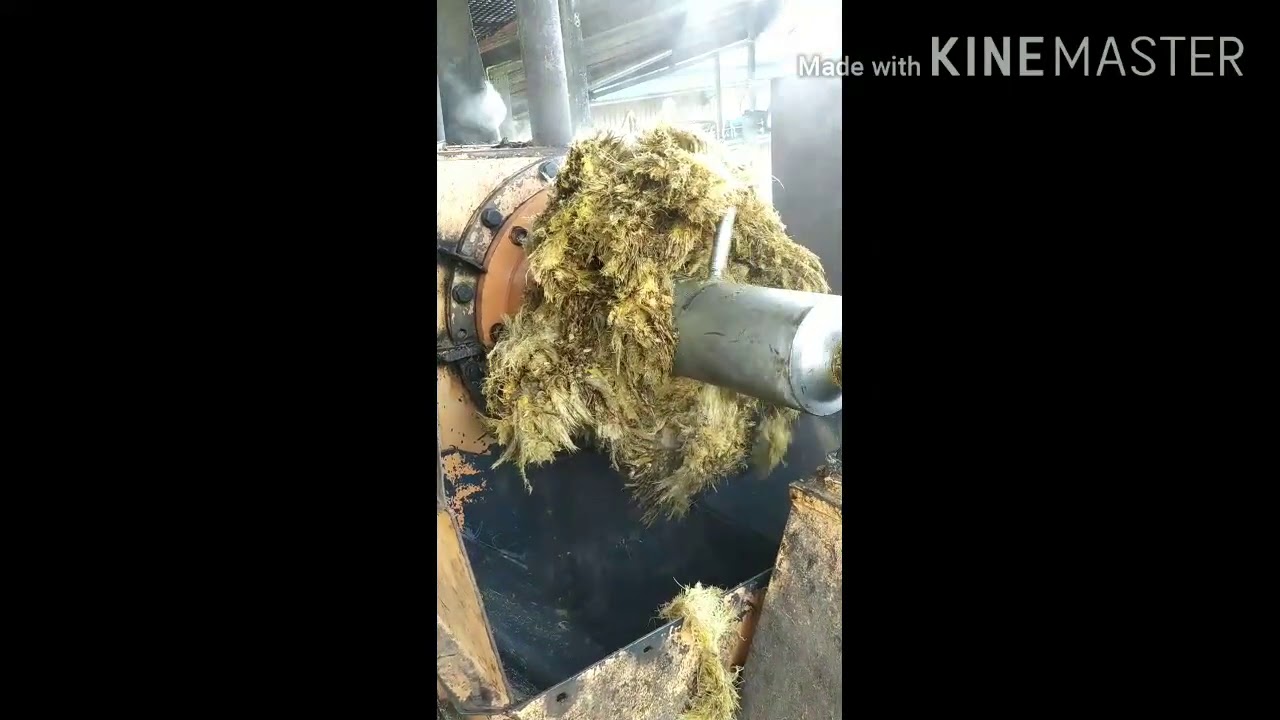 mesin EBP sri sinaco - YouTube