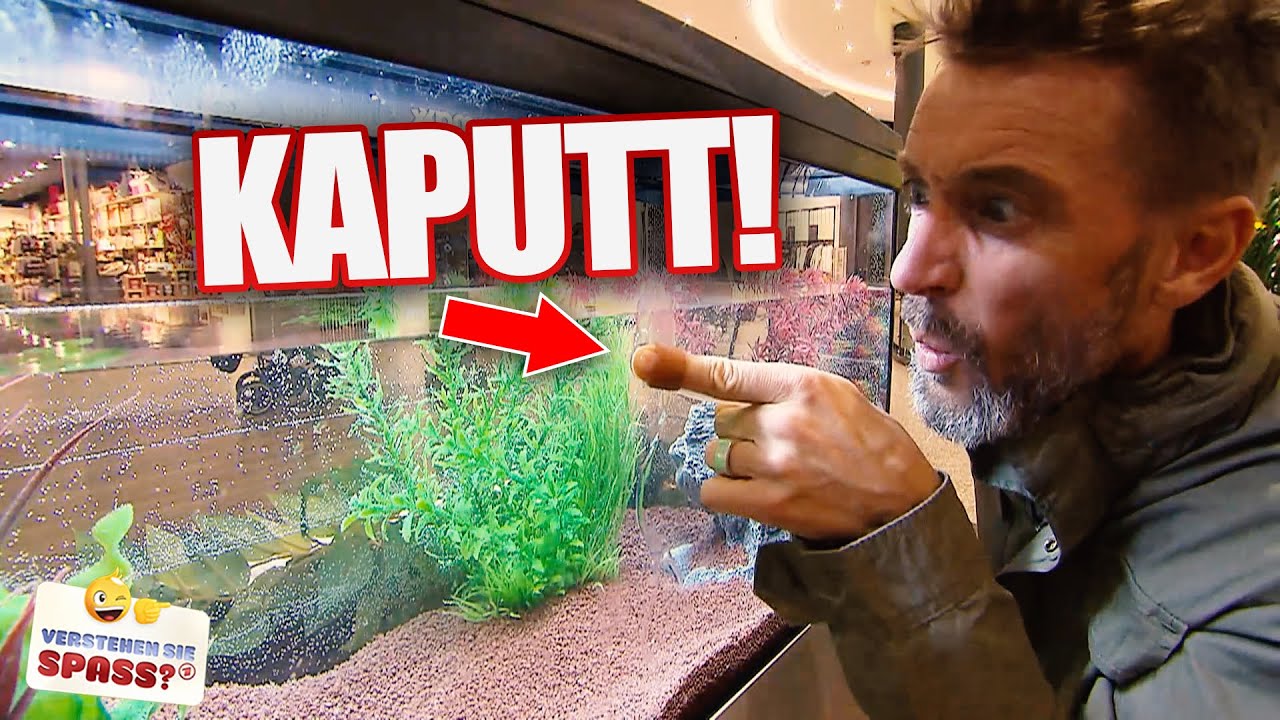 Fake Loch im Aquarium | Verstehen Sie Spaß? - YouTube