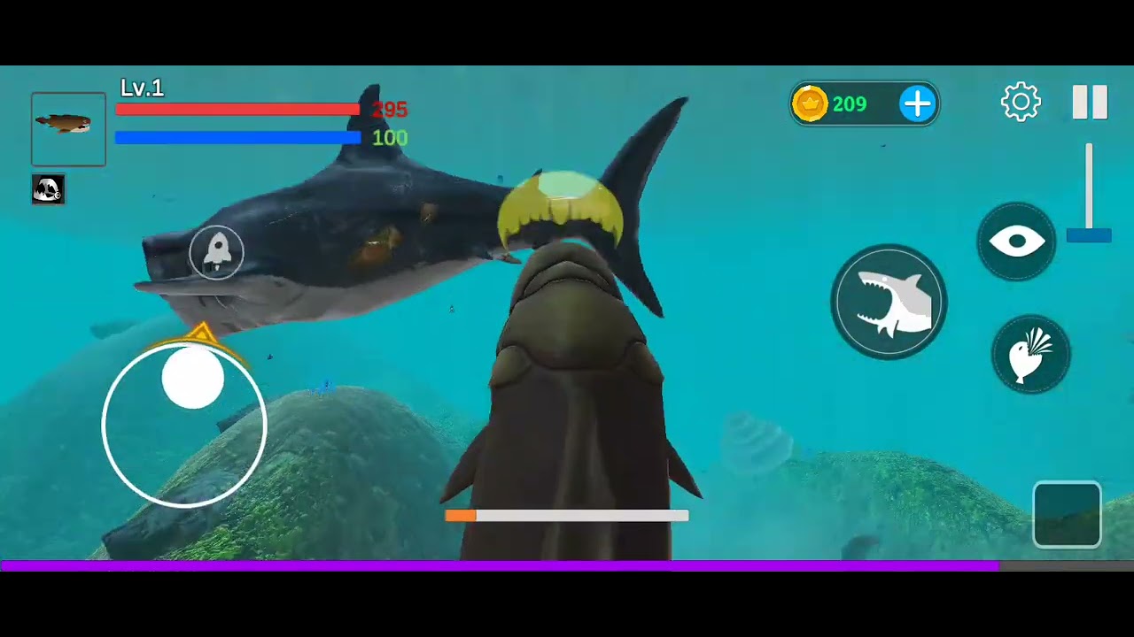 fish 🐠 life part 2 - YouTube