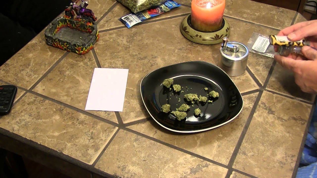 Strain Review: "Blow Fish x Alien Dawg #5" - YouTube