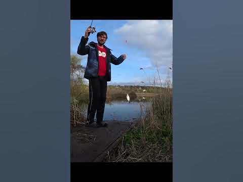 Красноперка на попла поппер - YouTube