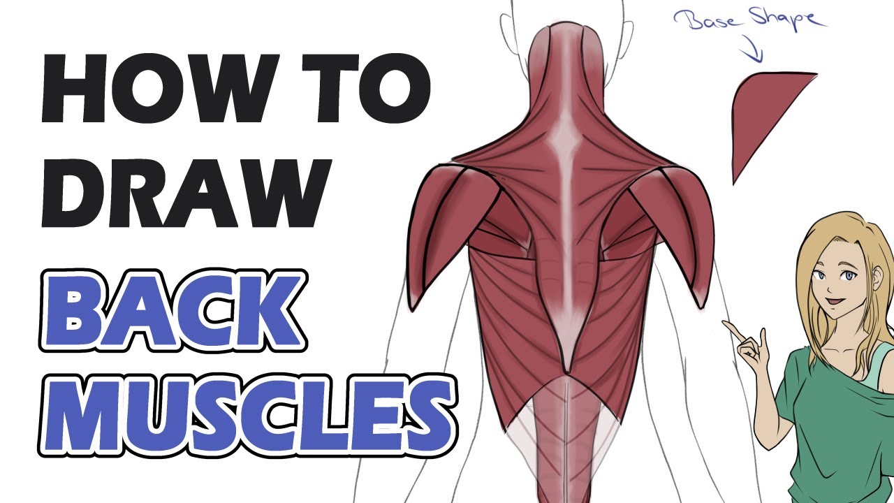 How to Draw Back Muscles: Unlock the Secrets of Anatomy - YouTube