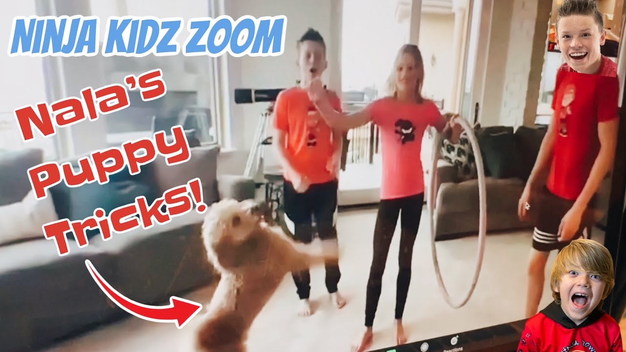 Ninja Kidz Zoom - YouTube