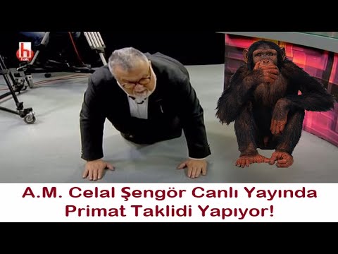 A.M. Celal Şengör Canlı Yayında Primat (Maymun) Taklidi Yapıyor!