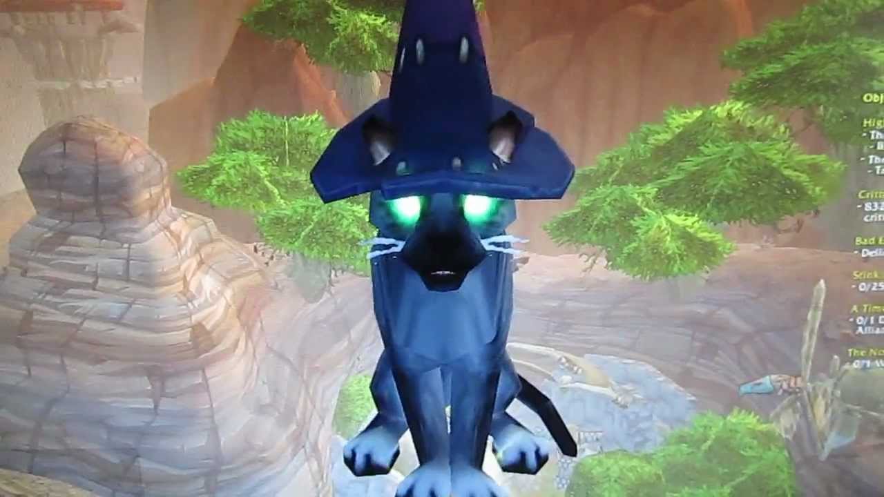 Feline Familiar - YouTube