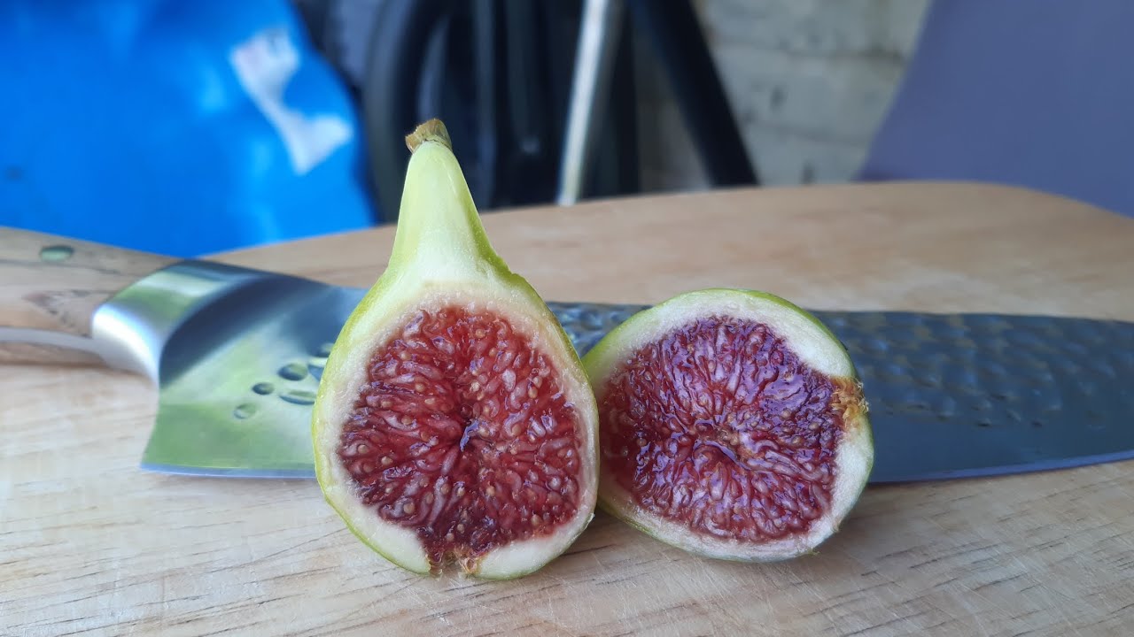 I think this is my favourite fig variety of my collection so far - YouTube