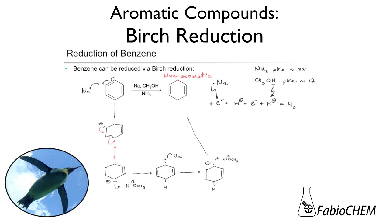 Aromatic Compounds: Birch Reduction - YouTube