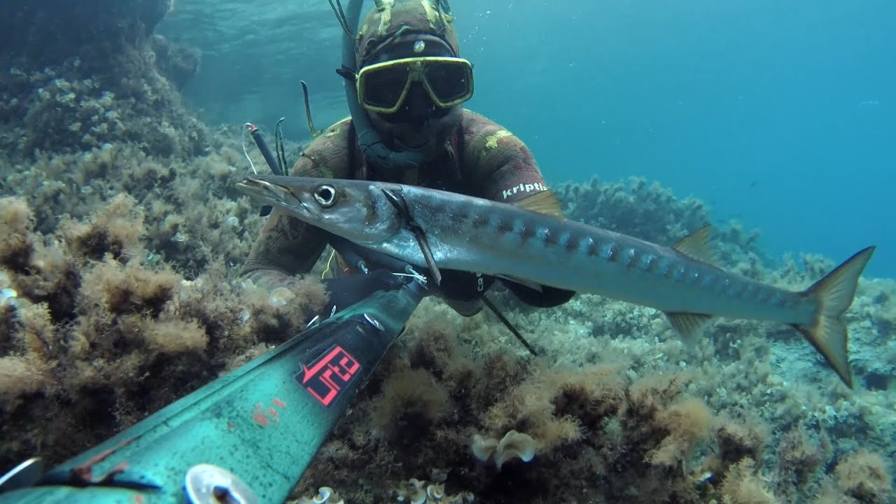 Ψαρευοντας στην ακτογραμμη no3!!! Spearfishing at the coastline no3 ...