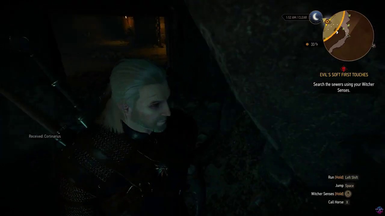 The Witcher 3 Wild Hunt - Kill a Drowner hard way - YouTube