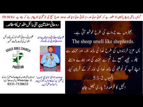 The sheep smell like shepherds. - YouTube