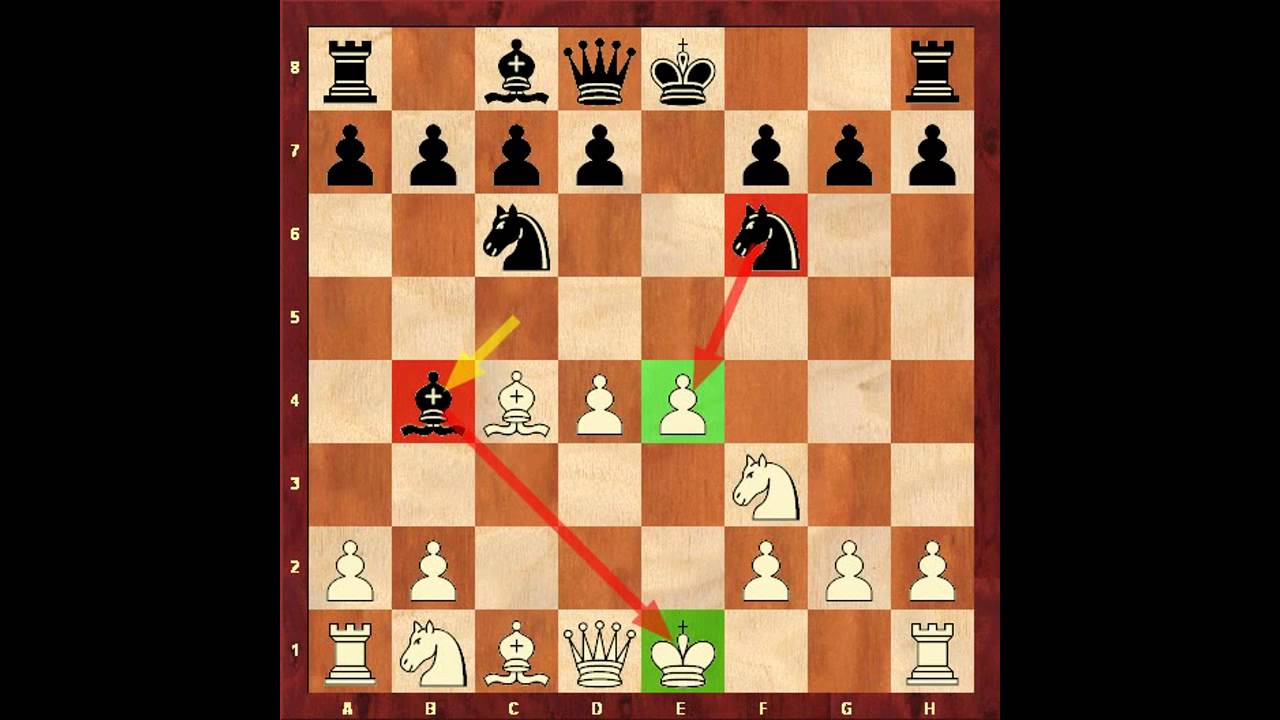 Chess For Beginners Chess Openings 8 Opening Examples Eugene Grinis chess-for-beginners-chess-openings-8-opening-examples-eugene-grinis