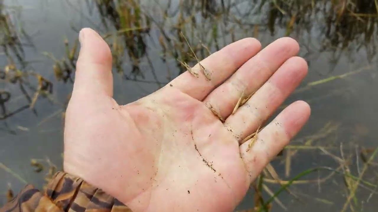 Here's the 2022 update duck update - YouTube