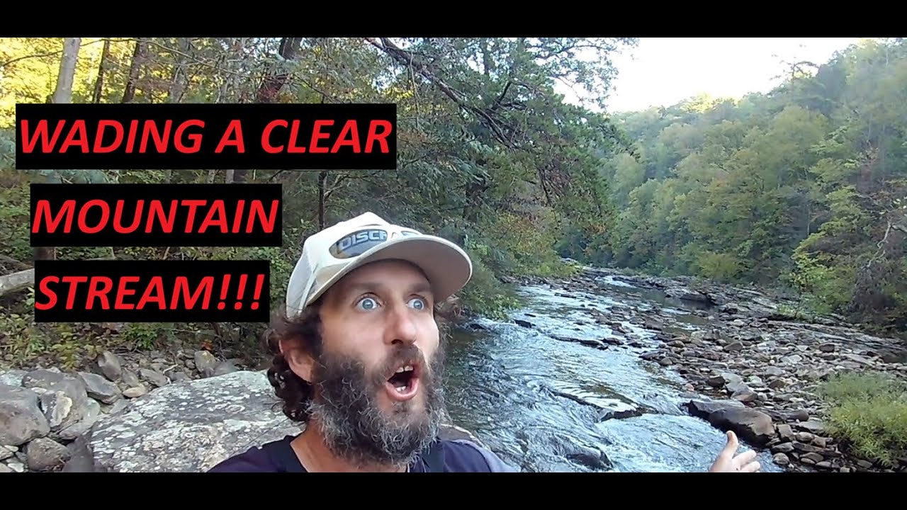Wading a Clear Mountain Stream! - Fall Fishing for FEISTY FISH!!! - YouTube