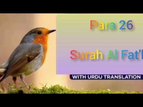 surah Al Fat'h | para 26 | part 1 | beautiful voice in the world ...