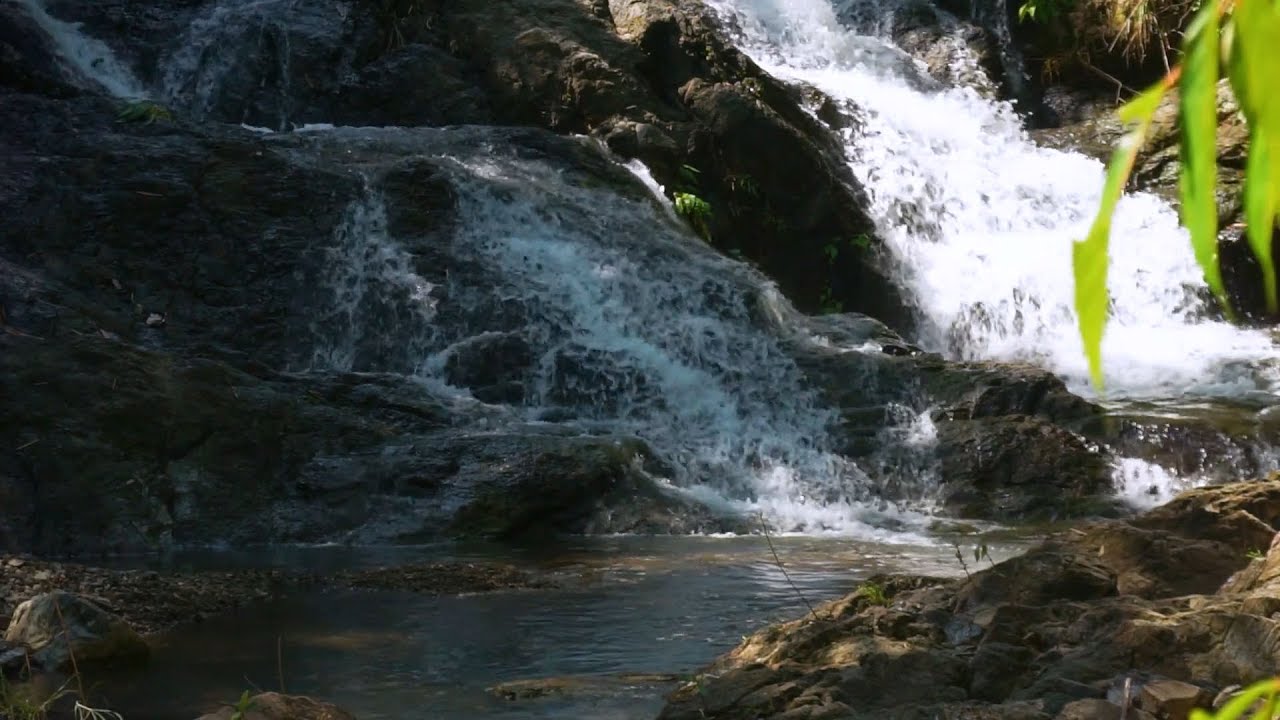 「清流の音色 」青々と茂る石に水が流れる音 / Relaxing Nature Sounds - Babbling Brook Flowing ...