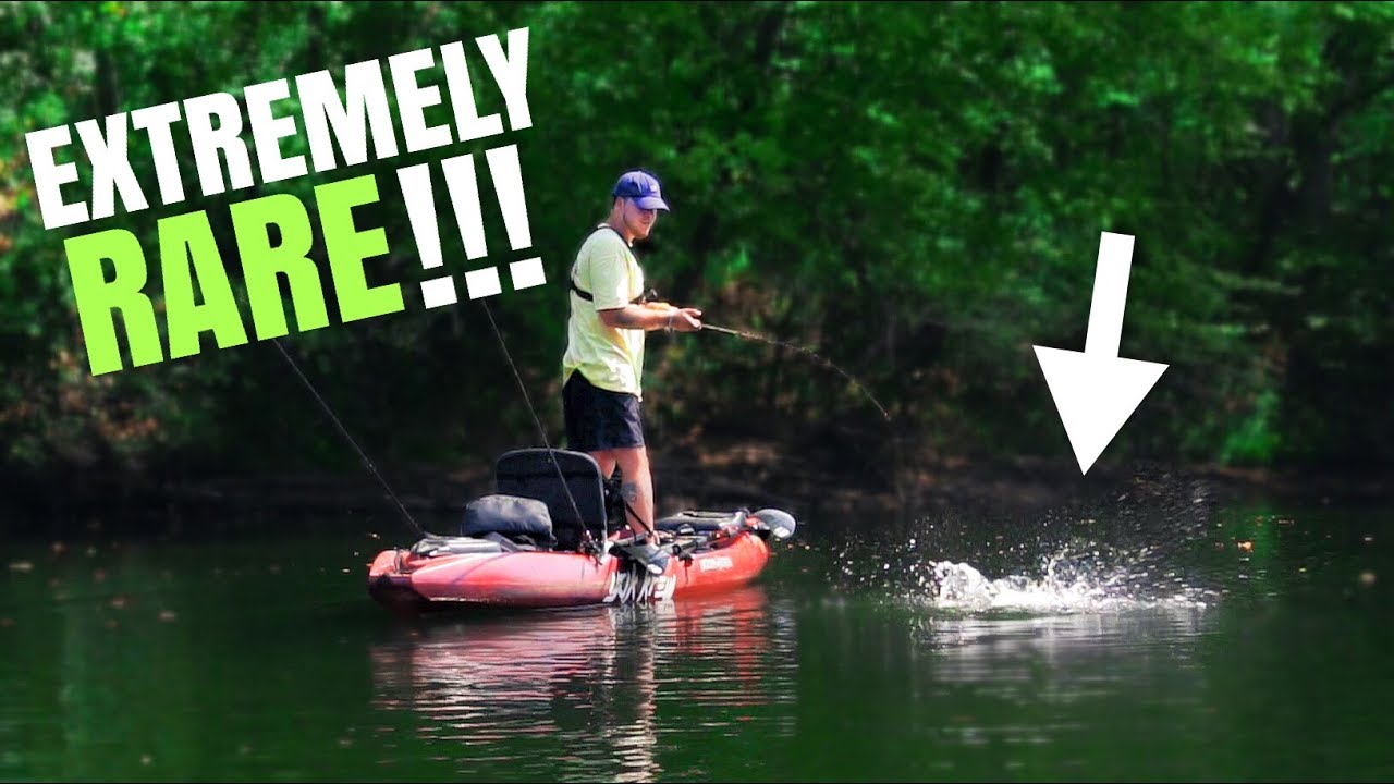 Catching RARE FISH in the Ocmulgee River?!?! | SURPRISE CATCH!! - YouTube