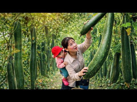 Harvesting giant pumpkins with my daughter to earn a living, our first truly delicious meal.