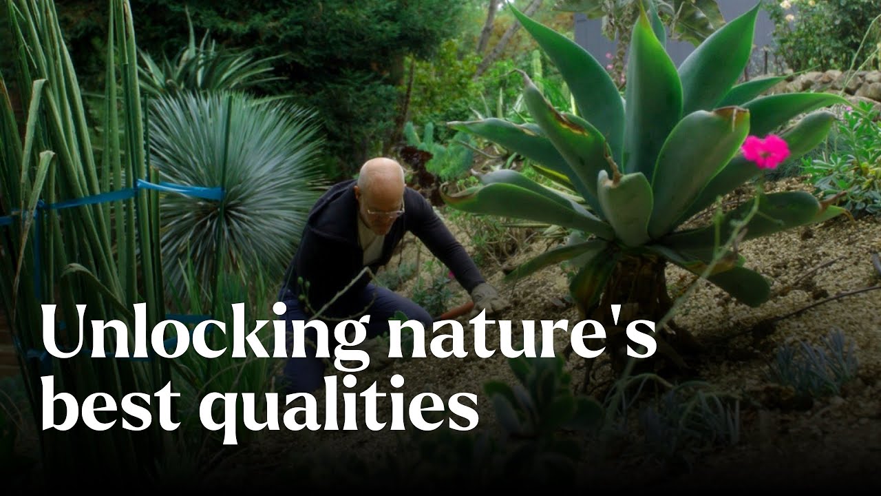 Unlocking nature’s best qualities - Nature's Building Blocks | BBC ...