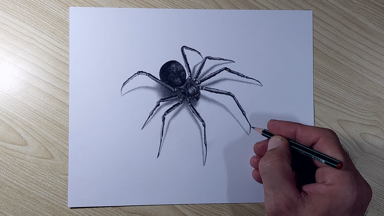 How to Draw a Spider (with pencils) - YouTube