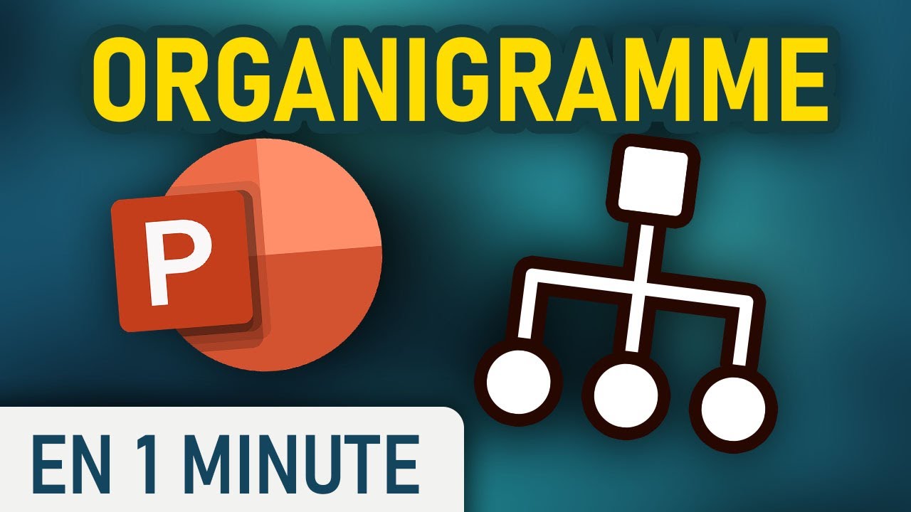 Créer un organigramme hiérarchique sur PowerPoint - YouTube
