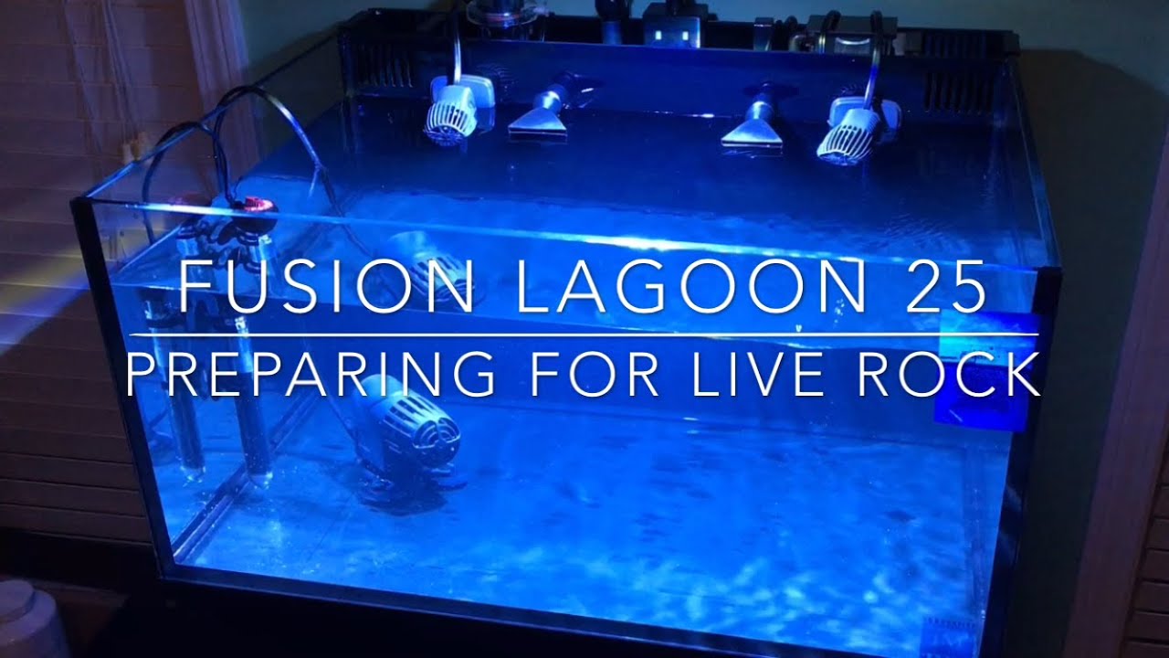Fusion Lagoon 25 / Preparing for Live Rock - YouTube
