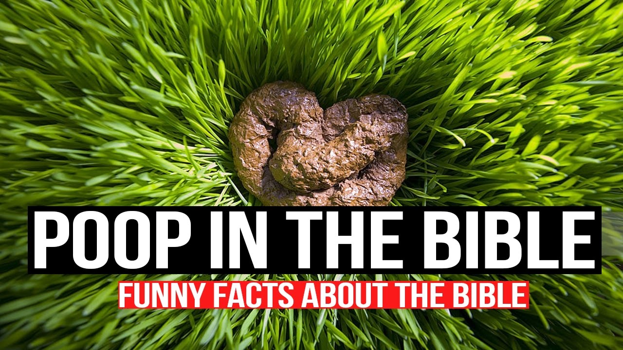 Poop In The Bible - Aqil Onque - YouTube