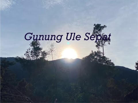 Climbing Hiking [ Gunung Ulu Sepat ] in Malaysia - YouTube