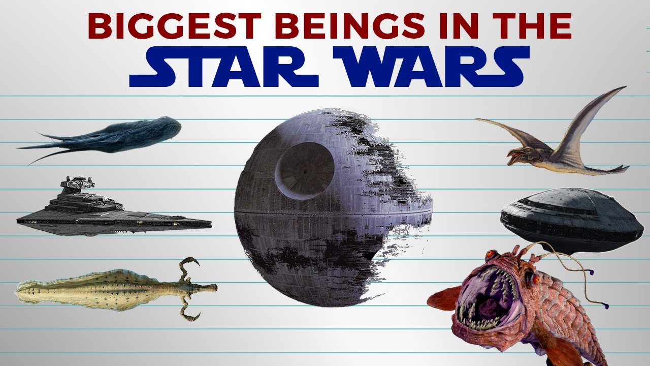 Biggest beings in the STAR WARS Universe - YouTube