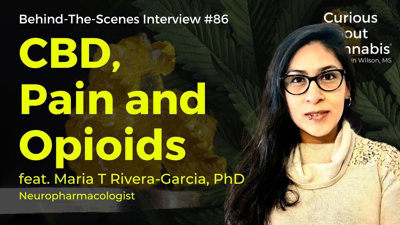 CBD, Pain and Opioids: Research That Matters with Maria T Rivera-Garcia ...